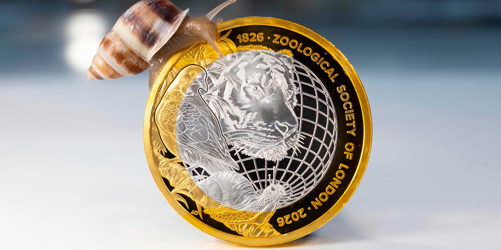 Tigers, Snails and 200 Years of Conservation History: The Royal Mint ...