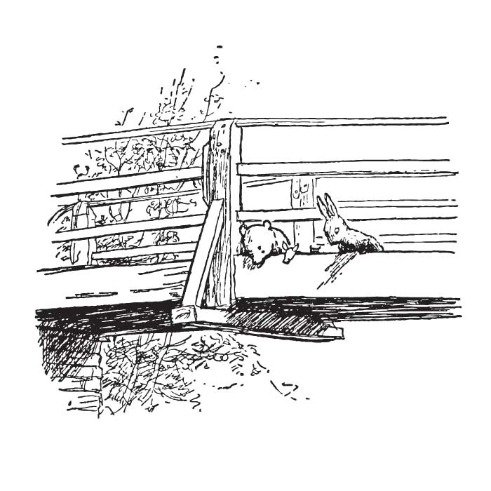 Winnie the Pooh Activity Sheets | The Royal Mint